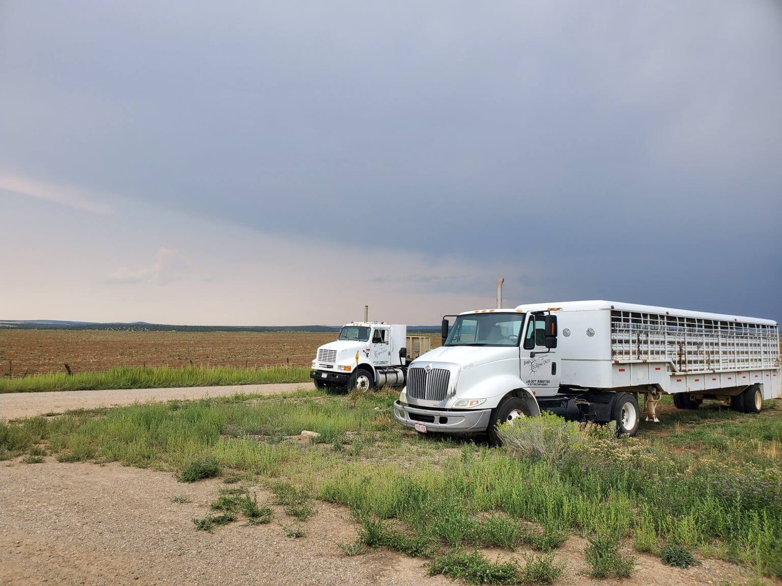 Eclipse DOT: Expert DOT Compliance Training & Safety