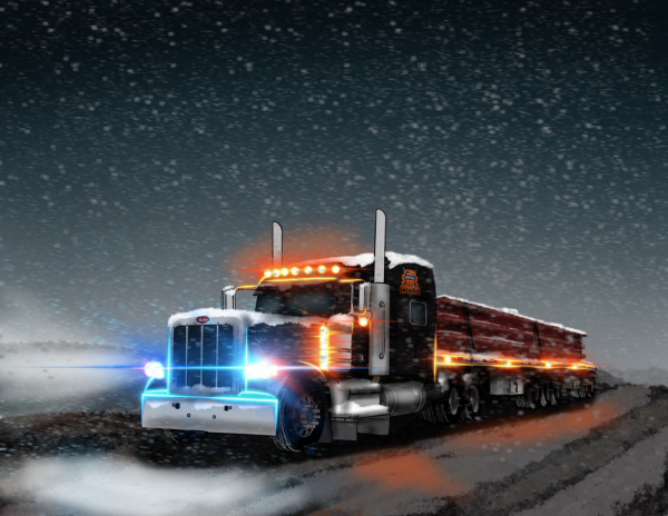 Flat Bed - Eclipse DOT